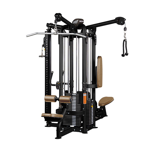 Jungle Machine professionnelle 4 postes Hoist Fitness CMJ-6000-1-EZG ...