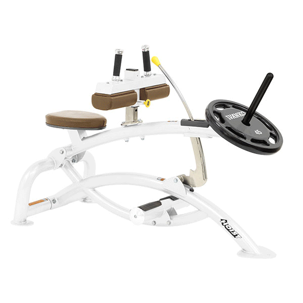 Machine musculation professionnelle Banc Mollets Hoist Fitness RPL-5363 ...