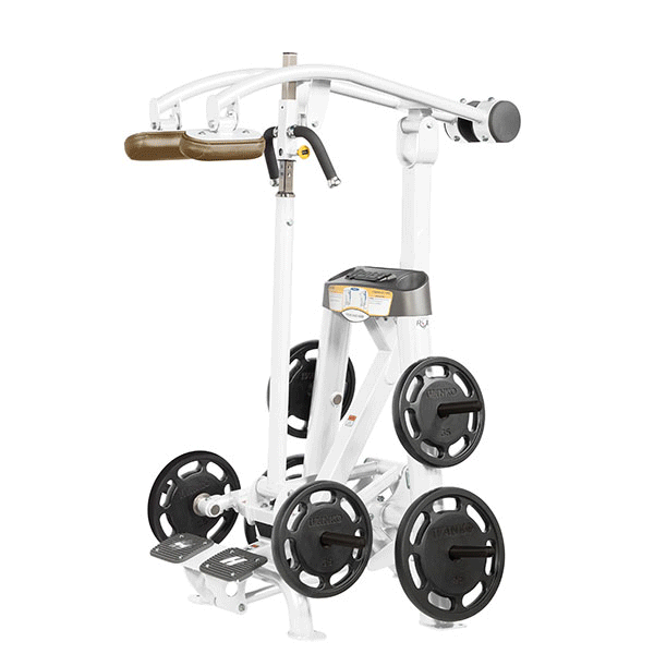 Machine musculation professionnelle Mollets Debout Hoist Fitness RPL ...