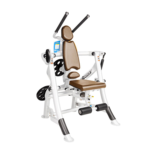 Machine musculation professionnelle Abdo Crunch Obliques HoistFitness ...