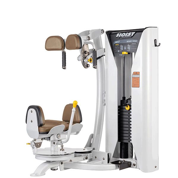 Machine musculation professionnelle Obliques / Torso Hoist Fitness RS ...